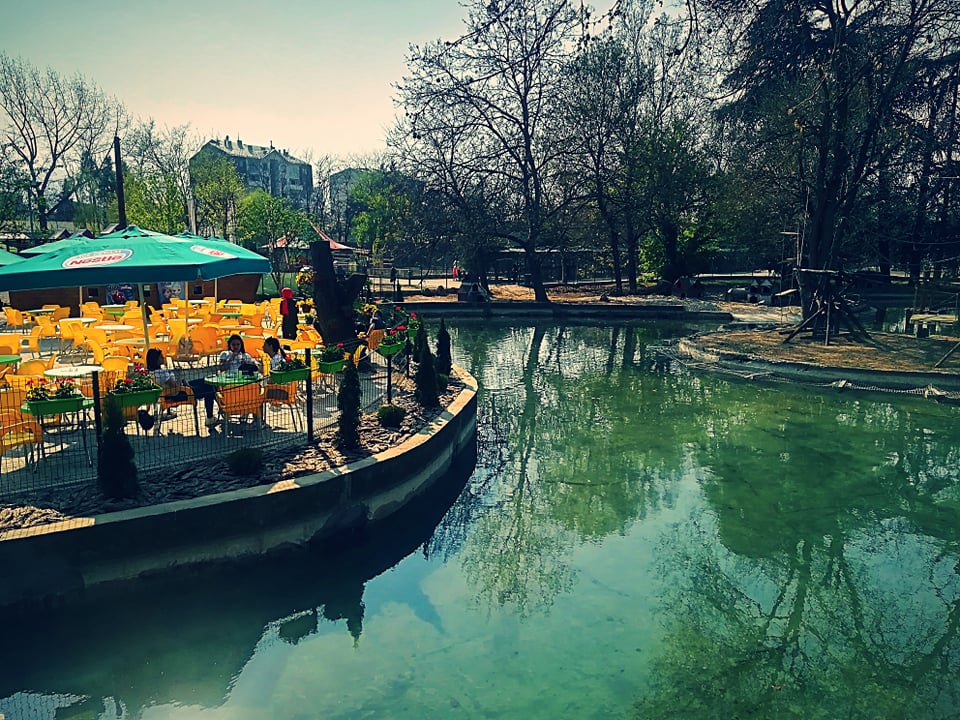 Clean lakes and new green corners in ZOO Skopje (PHOTO) - Free Press