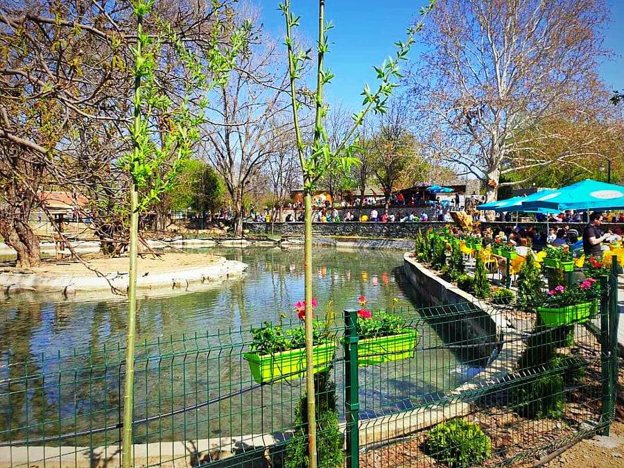 Clean lakes and new green corners in ZOO Skopje (PHOTO) - Free Press