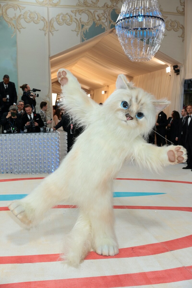 PHOTO | Unique Again: Jared Leto as Karl Lagerfeld's Cat Choupette at ...