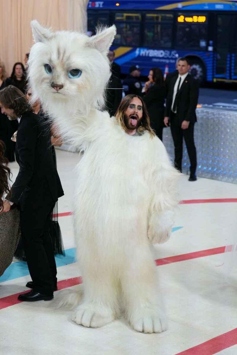 PHOTO | Unique Again: Jared Leto as Karl Lagerfeld's Cat Choupette at ...