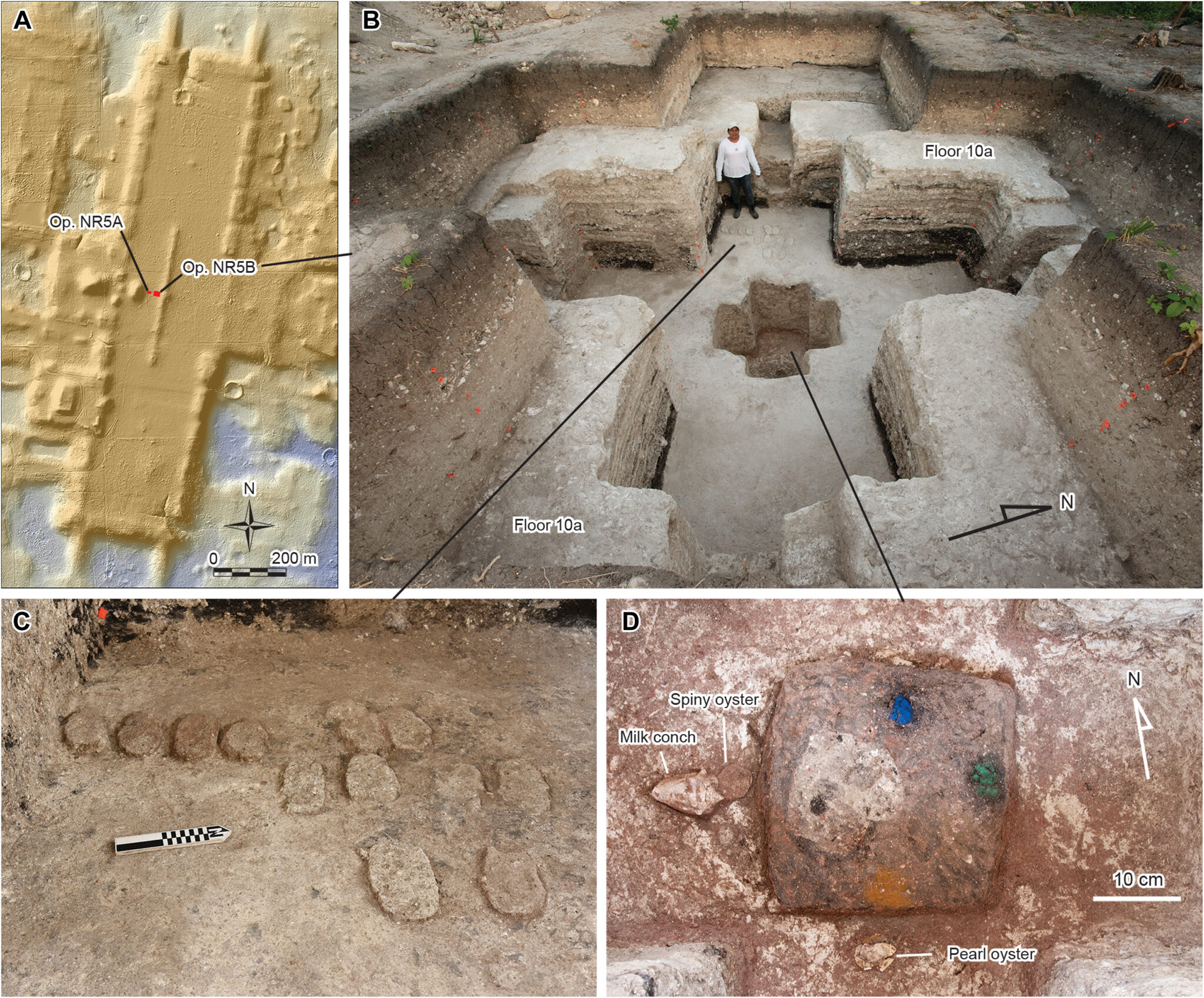 FOTO | Incredibile! Il più antico e grande tempio Maya fu costruito per ...